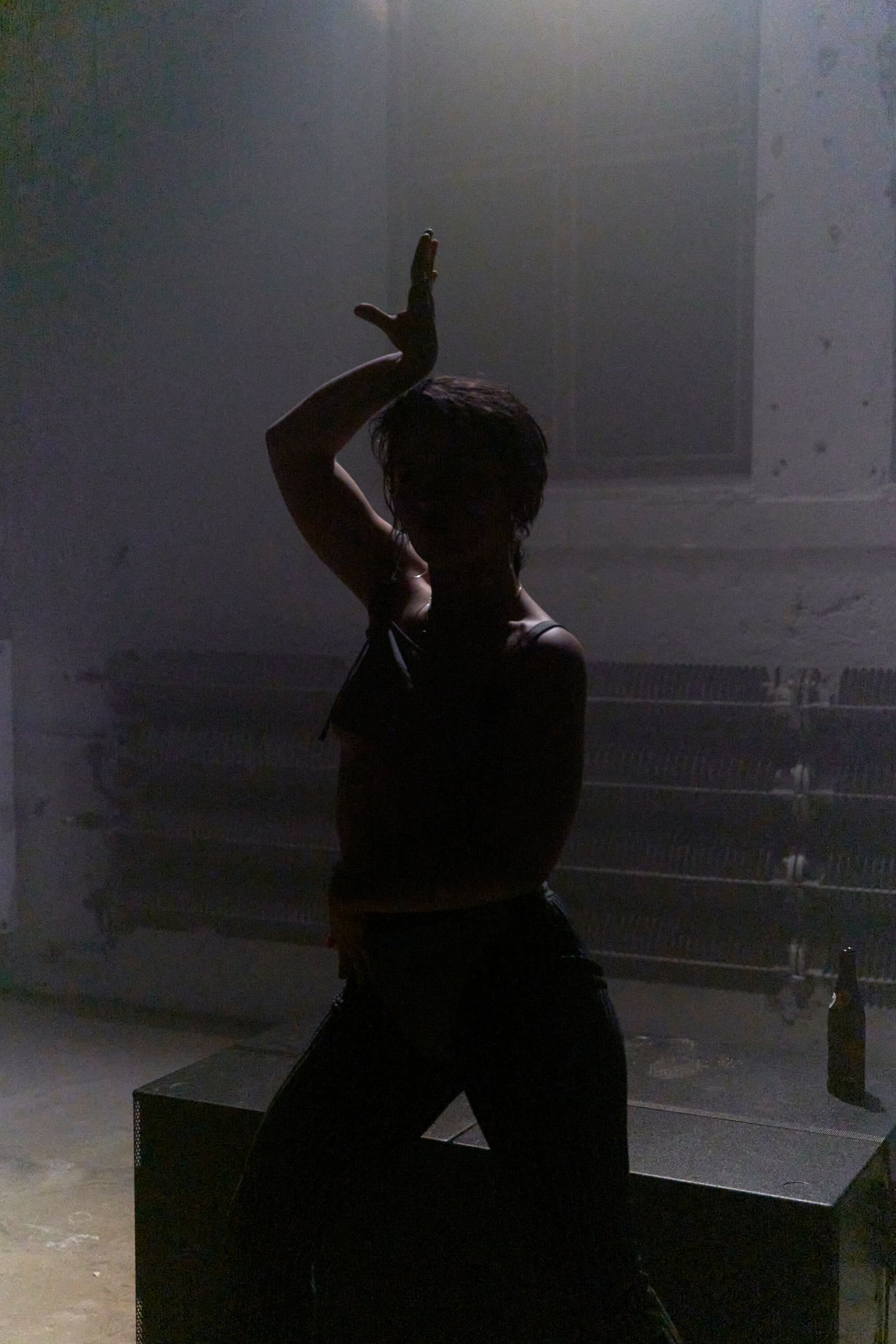 Nicola Kötterl — ACCESS TO EXCESS 2021